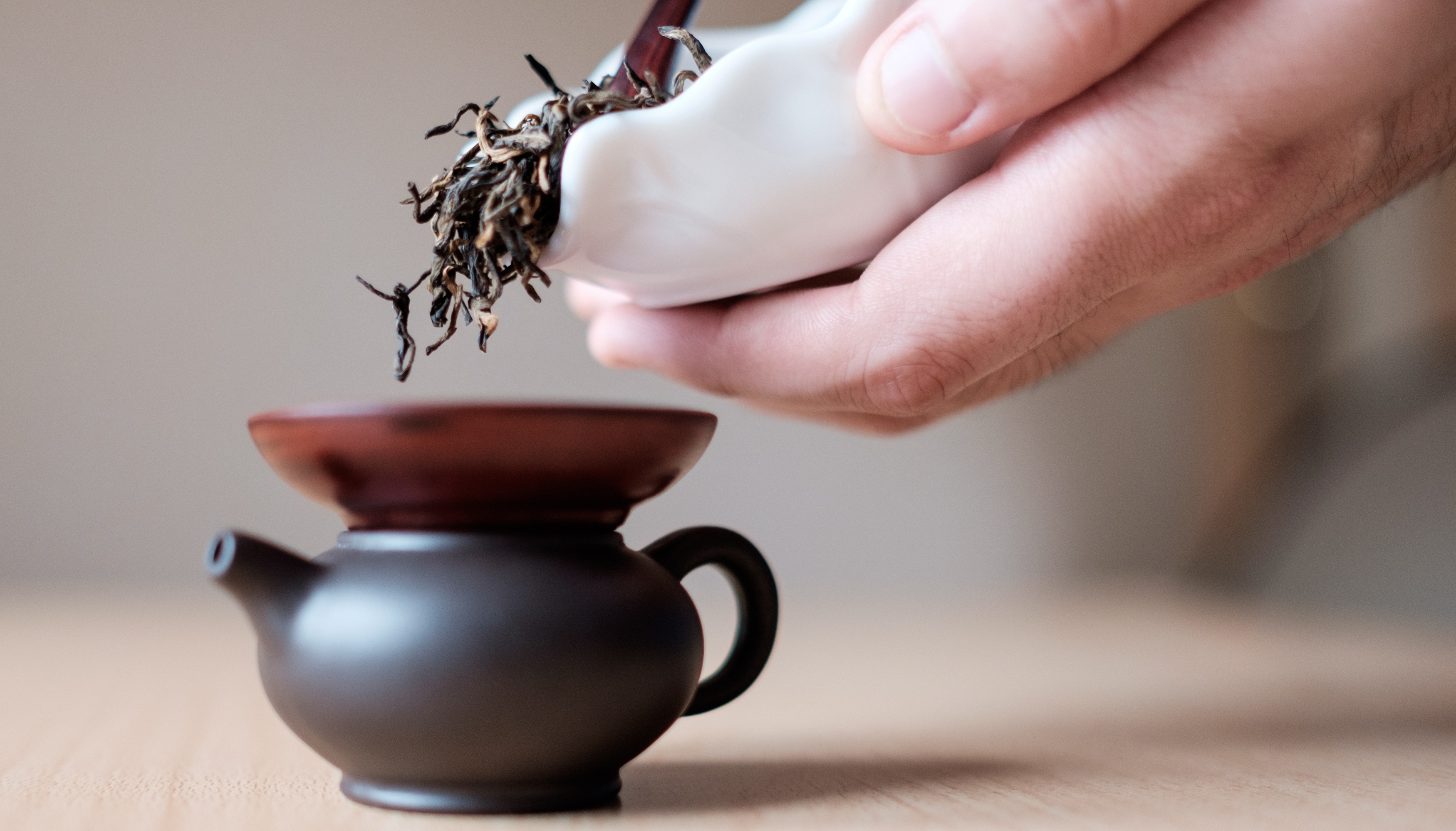 Tea Circle #1 | TeaLao